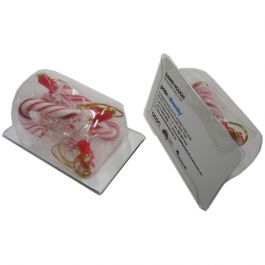 Branded CCX005 Candy Canes Business Card Confectionery